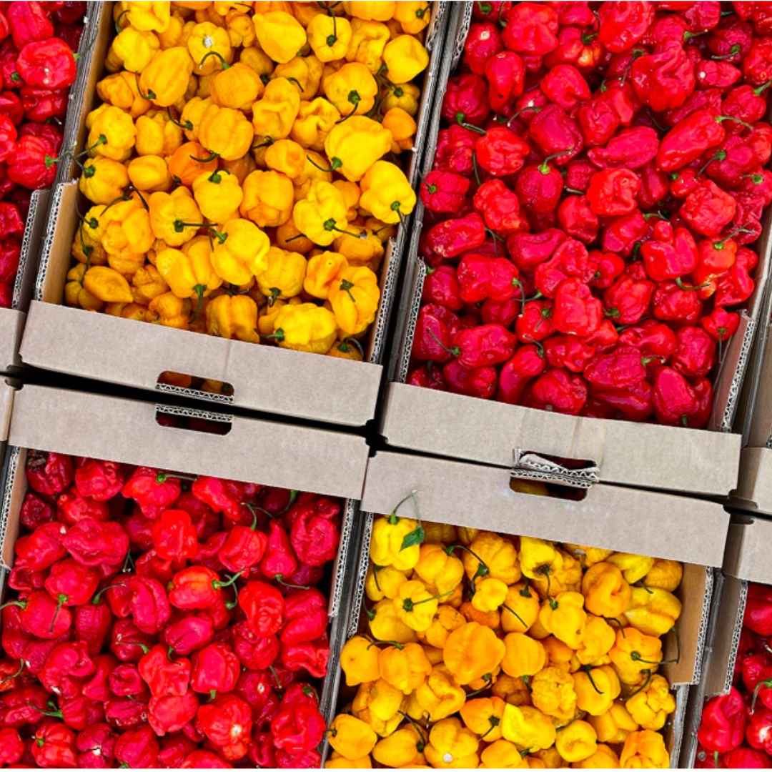 NAGA MANGO – SAUCES MARTIN